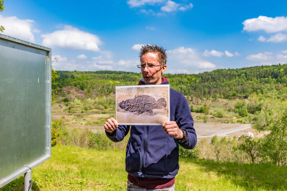 The Messel Pit Fossil Site - All you kneed to know before your visit ...