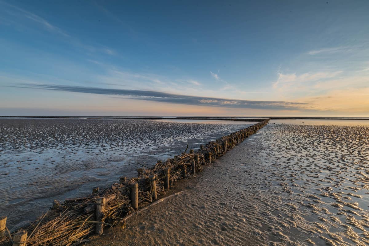 Visit Wadden Sea National Park - All you need to know - Awesome Places ...
