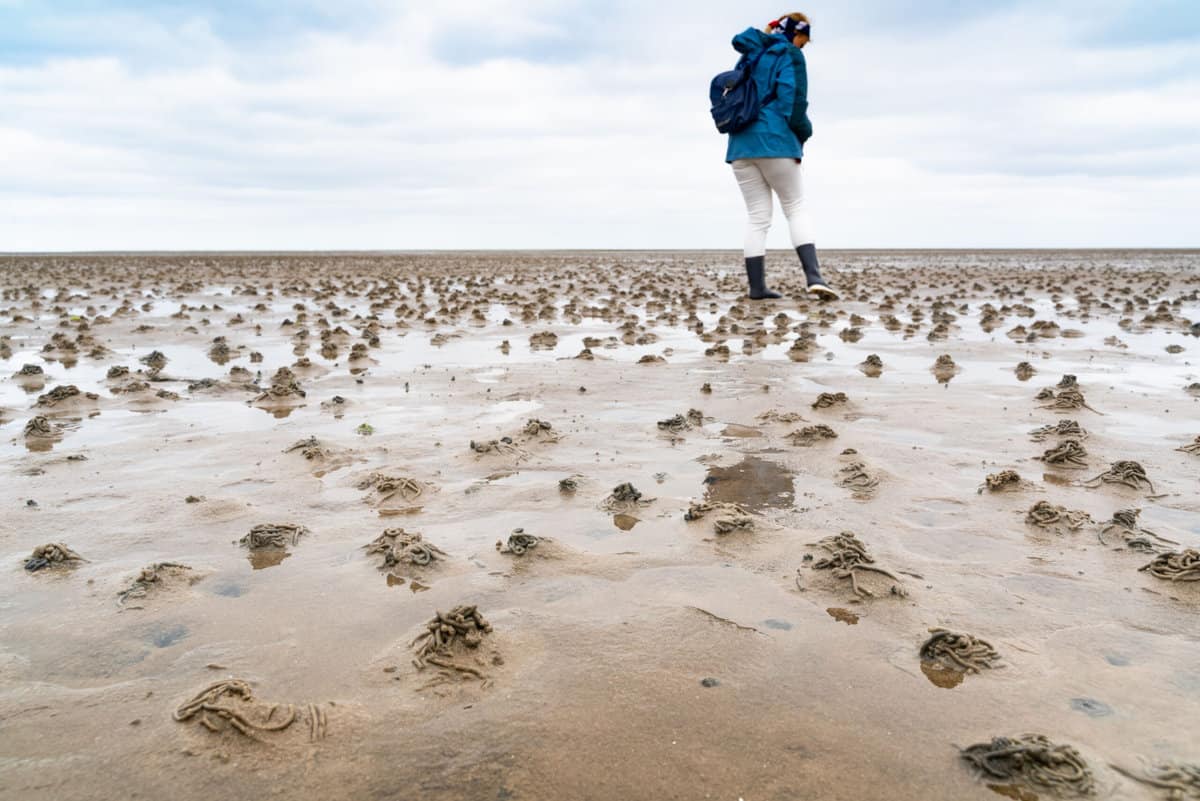 Visit Wadden Sea Islands - All you need to know - Awesome Places to Visit