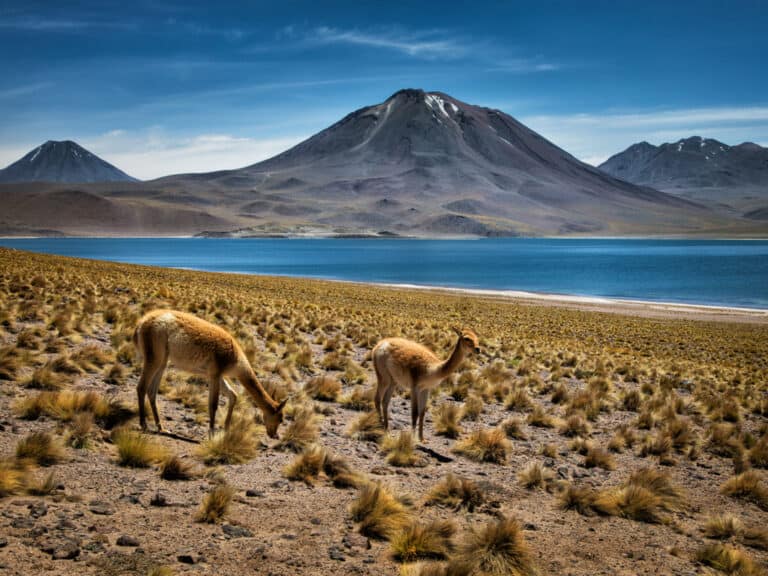 Atacama Desert – See The Most Flattest Place On Earth